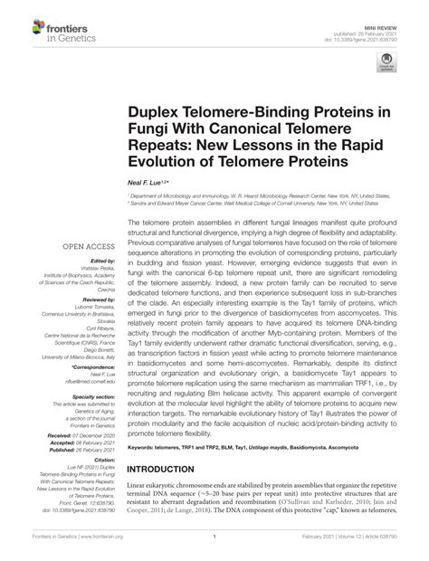 Pdf Duplex Telomere Binding Proteins In Fungi With Canonical Telomere Repeats New Lessons In