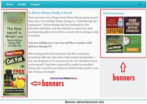 Samacheer Kalvi 12th Computer Applications Solutions Chapter 15 E Commerce Samacheer Guru