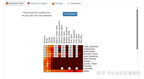 基因表达谱的构建 知乎