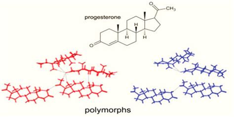 Polymorphism In Materials Science Assignment Point
