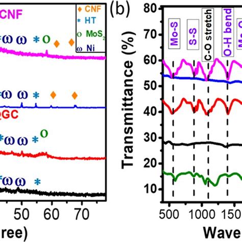 A Ecsa‐normalized Lsv Curves B Arrhenius Plots η 300 Mv C