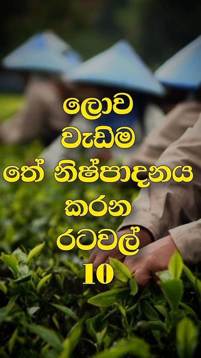 ලොව වැඩිම තේ නිෂ්පාදනය කරන රටවල් 10 😃 Shorts Trending Tea Plants Countries World Top10