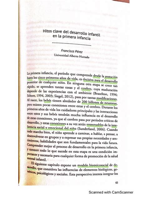Hitos Del Desarrollo en La Infancia | PDF