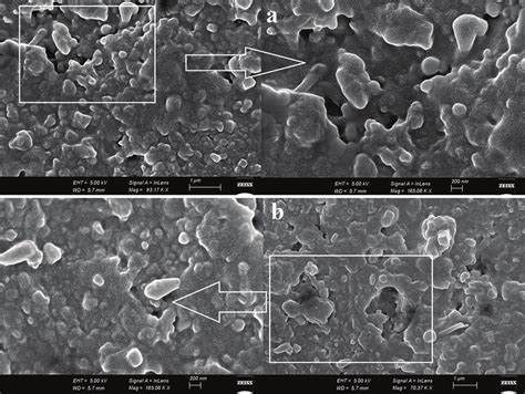 A Microcracks B Material Transport In The Microstructure Of The Download Scientific