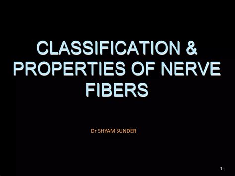 Nerve Fiber Pptx