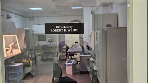 Clinical Validation And Performance Analysis With Ensable Neural Network Pipeline