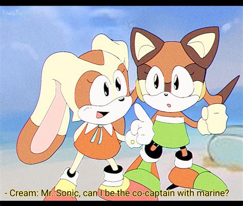 6711 Safe Artist Koasku Sonic Ova Cream The Rabbit Marine The Raccoon Sonic The Ova