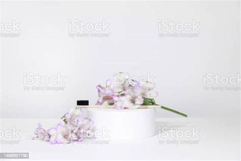 치과 및 구강 관리 제품의 창의적인 표현 흰색 회색 테이블 배경에 식물 꽃이 있는 연단 받침대에 있는 대나무 칫솔 치과 진료 0