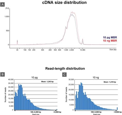 Smart Seq Mrna Long Read