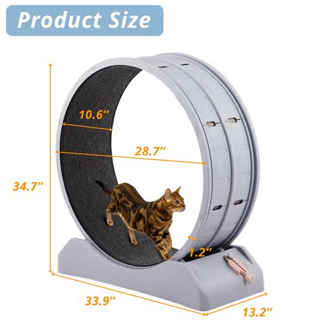 Cat Exercise Wheel 31 Inch Cat Wheels For Indoor Cats Cat Treadmill