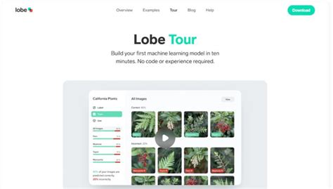Frontendpractice Html Css Javascript Reponsive Shrey Kumar Tamrakar