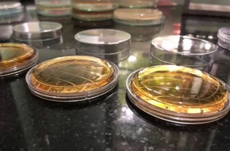 how rodac plates are used for environmental monitoring mahmoud