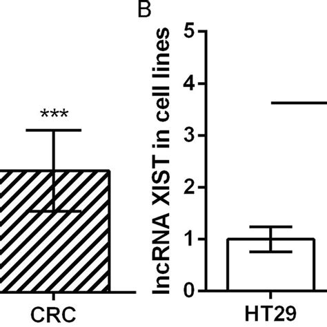 The Expression Of Long Noncoding Rna Lncrna X Inactive Specific