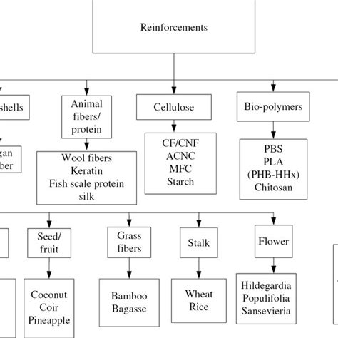 Different Reinforcements In Polymer Matrix Composites Download Scientific Diagram