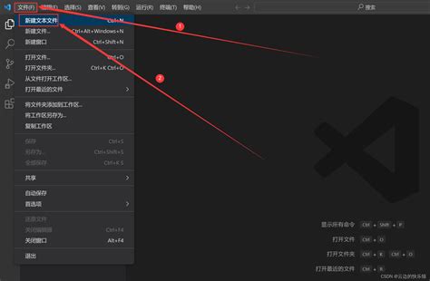 使用vscode编写第一个hello World程序页面详细步骤 极客之音