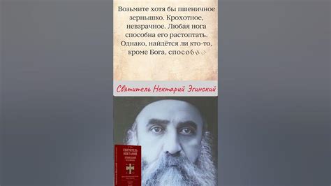 Святитель Нектарий Эгинский найдётся ли кто то кроме Бога способный создать пшеничное зернышко