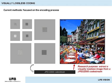 LEARNING IMAGE FEATURES TO ENCODE VISUAL INFORMATION LIFEVISION