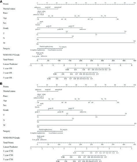 nomogram for forecasting os and css in ccrcc patients a nomogram