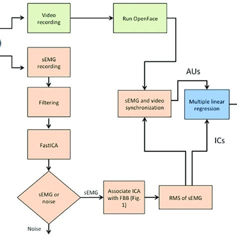 Data Analysis Flow Chart SEMG And Video Data Were Collected Download Scientific Diagram