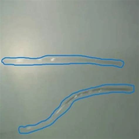 Machine Vision System For Defect Detection For Industrial At ₹ 120000piece In Pune