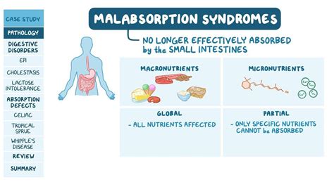 Video Malabsorption Syndromes Pathology Review Osmosis