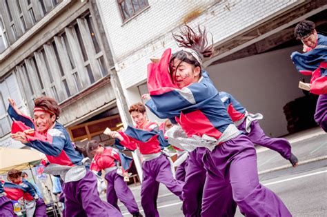 犬山踊芸祭2019 高知学生旅鯨人 祭りびと2