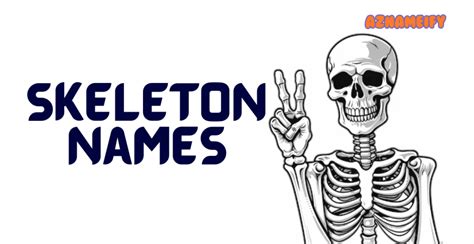 460 Skeleton Names Unique Creative Stylish Funny Cool And Cute