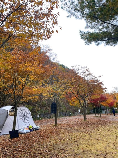 영월 아빠가만든캠핑장에서 가을캠핑 할로윈분위기 냈어요 추억남기기 네이버 블로그