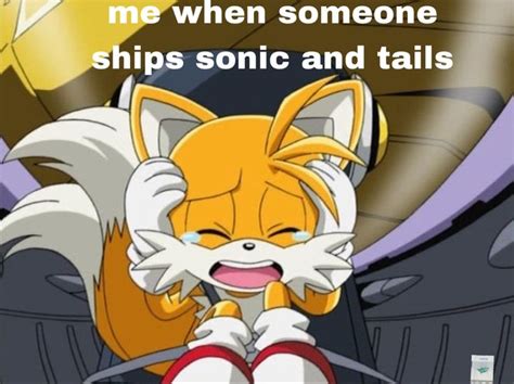 Sonic X Tails Utterly Distgust Me In 2024 Sonic Art Sonic Tails