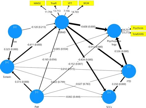 Results Of Partial Least Squares Pls Path Modeling In Patients With