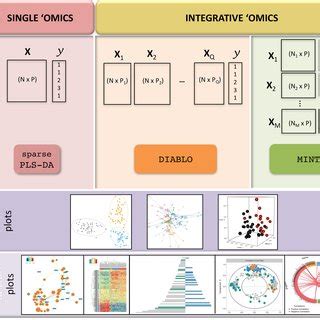 Overview Of The MixOmics Multivariate Methods For Single And Download Scientific Diagram