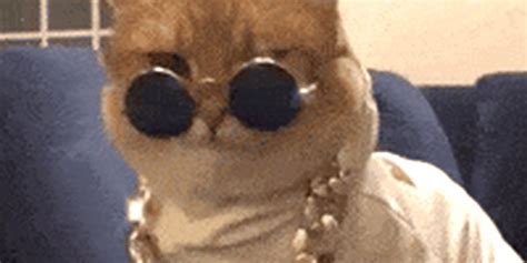 When I Replace A For Loop With A Map The Coding Love Programmer Humor S Memes Jokes