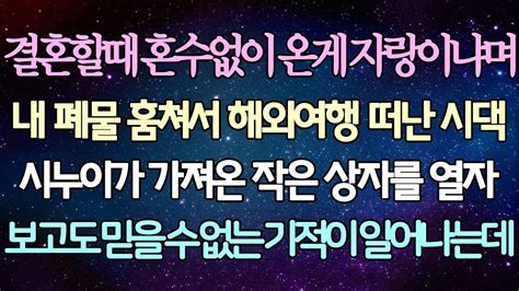 반전 사연 결혼할때 혼수없이 온게 자랑이냐며 내 폐물 훔쳐서 해외여행 떠난 시댁 시누이가 가져온 작은 상자를 열자 보고도 믿을 수 없는 기적이 일어나는데사이다사연