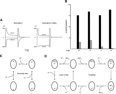 Schematic Representation Of The Minimal Steps Involved In The Download Scientific Diagram