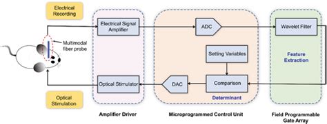 design and principle of the closed‐loop optogenetic modulation system