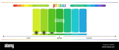 PH scale chart, acid balance of nutrition measure meter and food chemistry science infographics ...