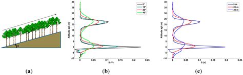 Remote Sensing Free Full Text End To End Simulation For A Forest Dedicated Full Waveform