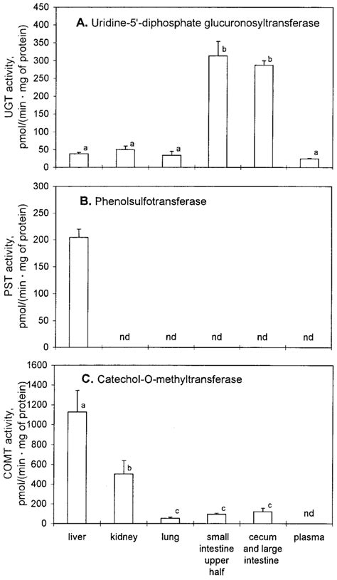 Tissue Distribution Of Conjugative Enzyme Activities In Download Scientific Diagram