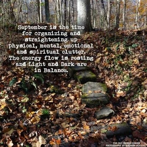 Timeline Photos The Old Crones Corner Light In The Dark Spirituality Energy Flow