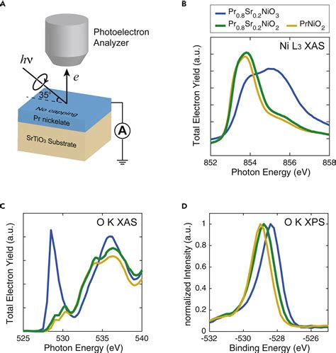 Electronic Structure Of Superconducting Nickelates Probed By Resonant Photoemission Spectroscopy