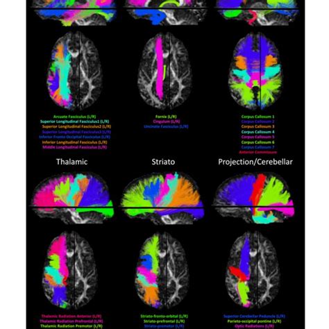We Investigated Microstructure And Macrostructure Features Of 71 Download Scientific Diagram