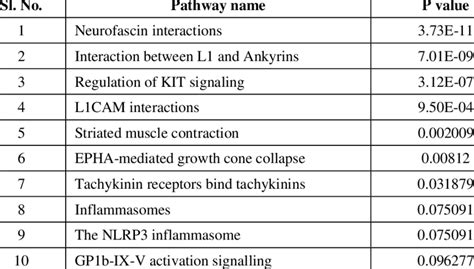 Top 10 Pathways Reported In Reactome Analysis Of Normal Vs Control