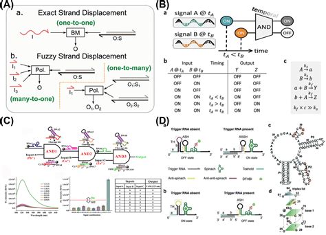 Advancements In Dna Computing Exploring Dna Logic Systems And Their Biomedical Applications