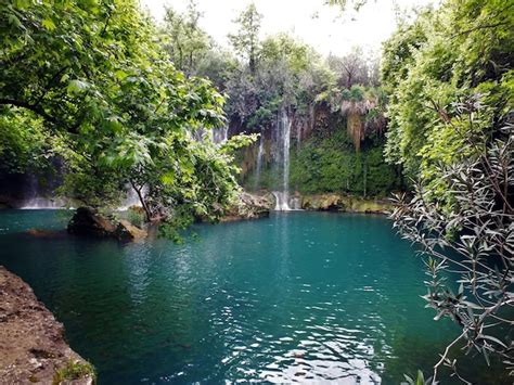 Premium Photo River Flowing Through Trees