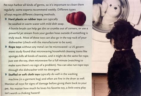 Cleaning Pet Toys