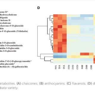 Differential Flavonoid Accumulation Analysis Using Orthogonal Signal