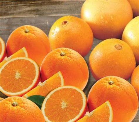 Orange Types And Varieties A Comprehensive Overview