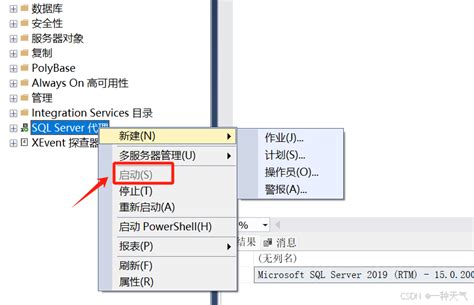 sqlserver定时备份到其它服务器上 sqlserver备份到其他服务器 csdn博客