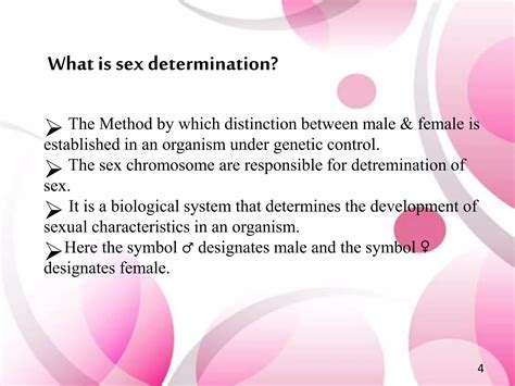 Chromosomal Sex Determination In Man PPT