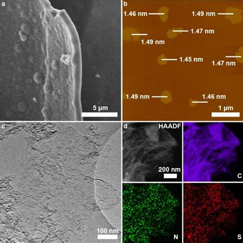 Sem Afm And Tem Characterizat Image Eurekalert Science News Releases